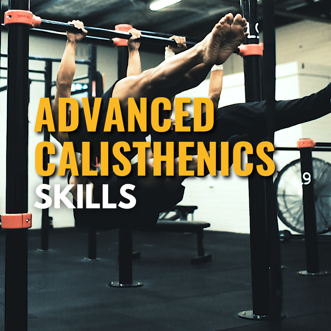 Melbourne Calisthenics Gym & Bodyweight Group Fitness Classes | L9 Fitness