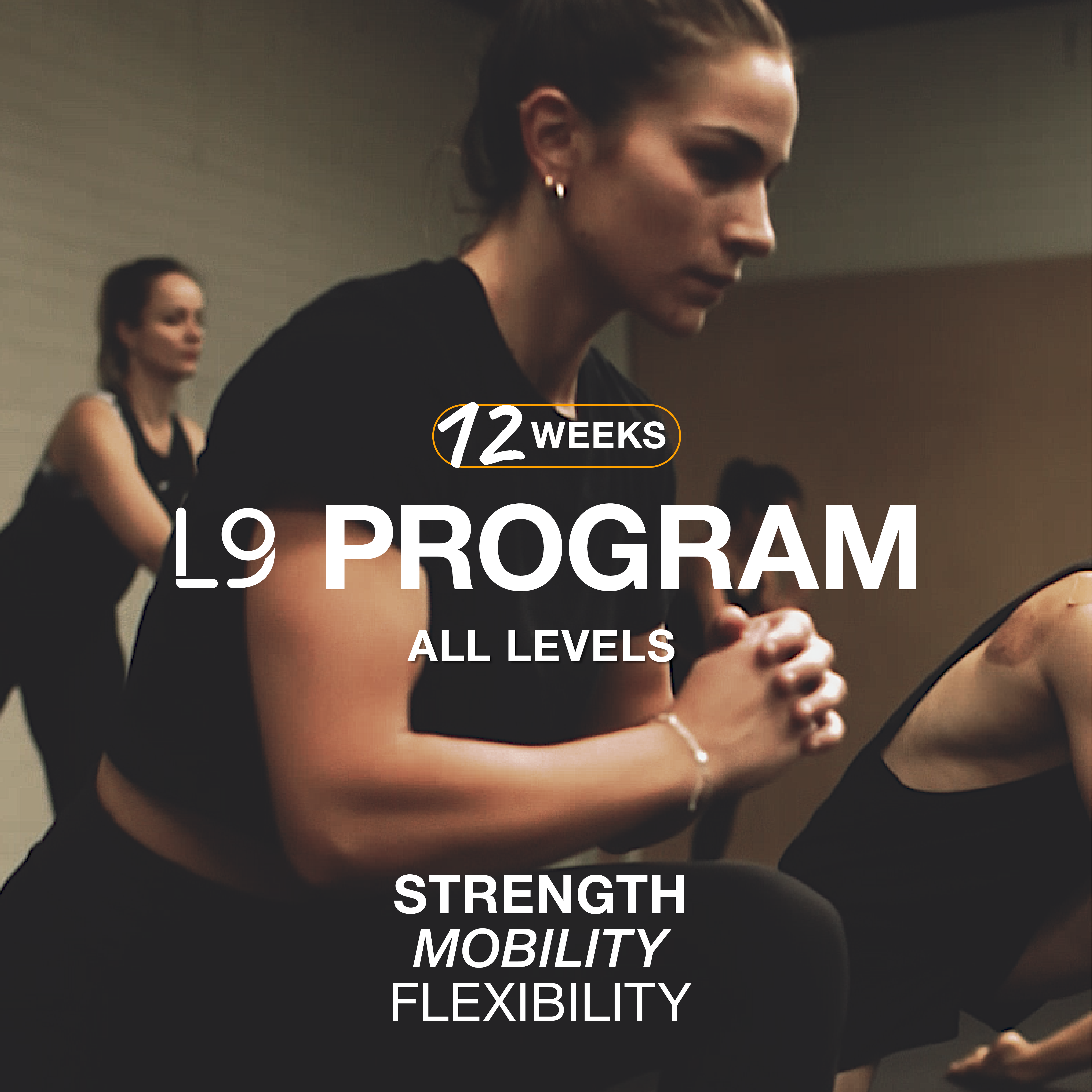 L9 Program - Calisthenics & Bodyweight Fitness Group Class